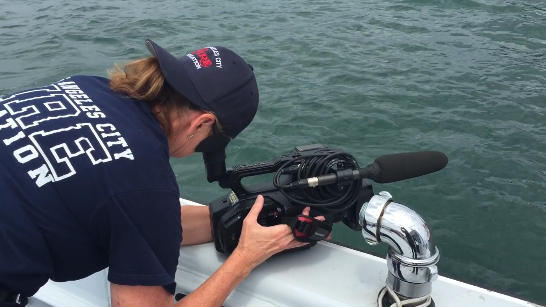 Videos - Safe Community Project