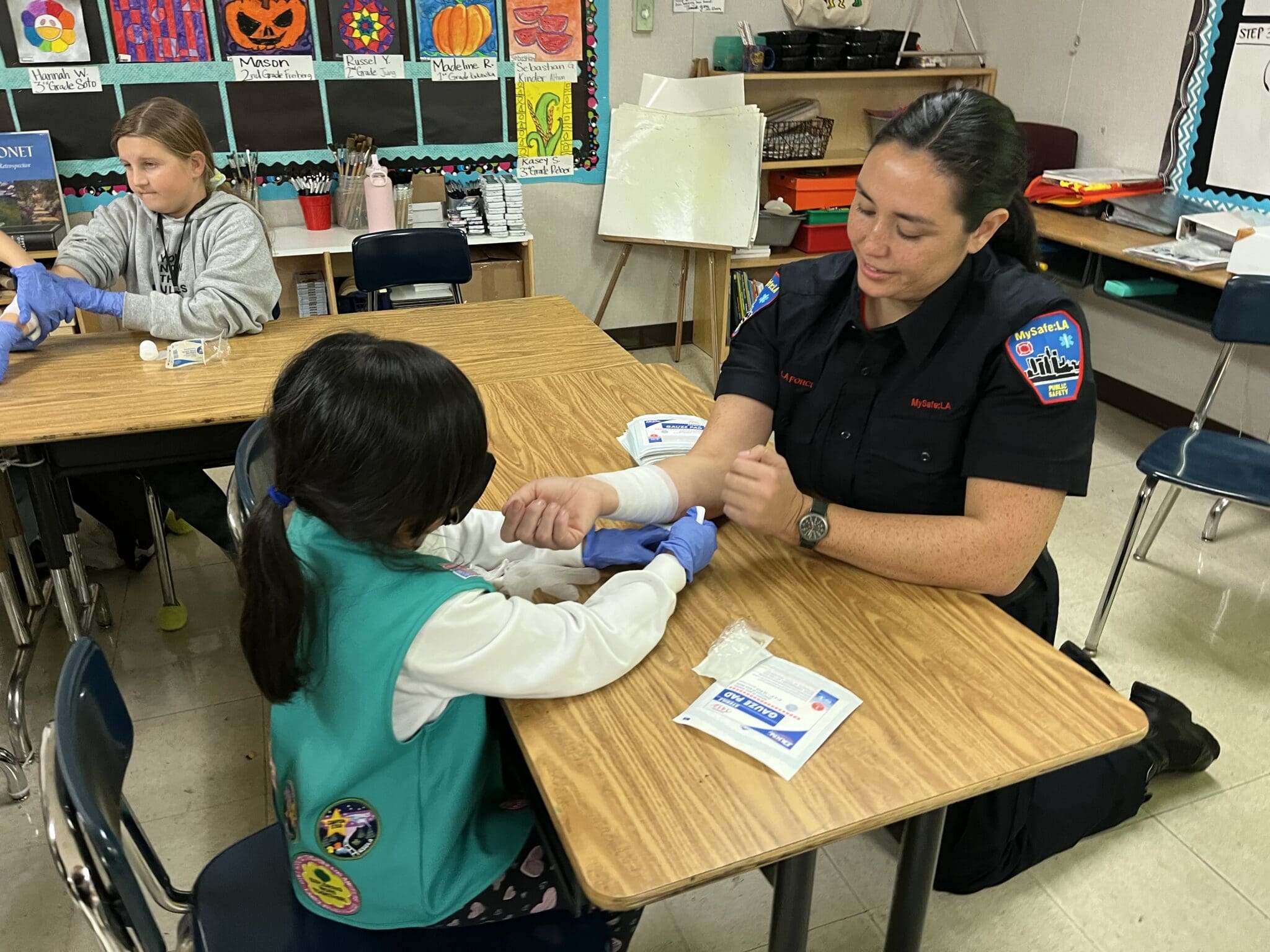 Public Safety - Safe Community Project